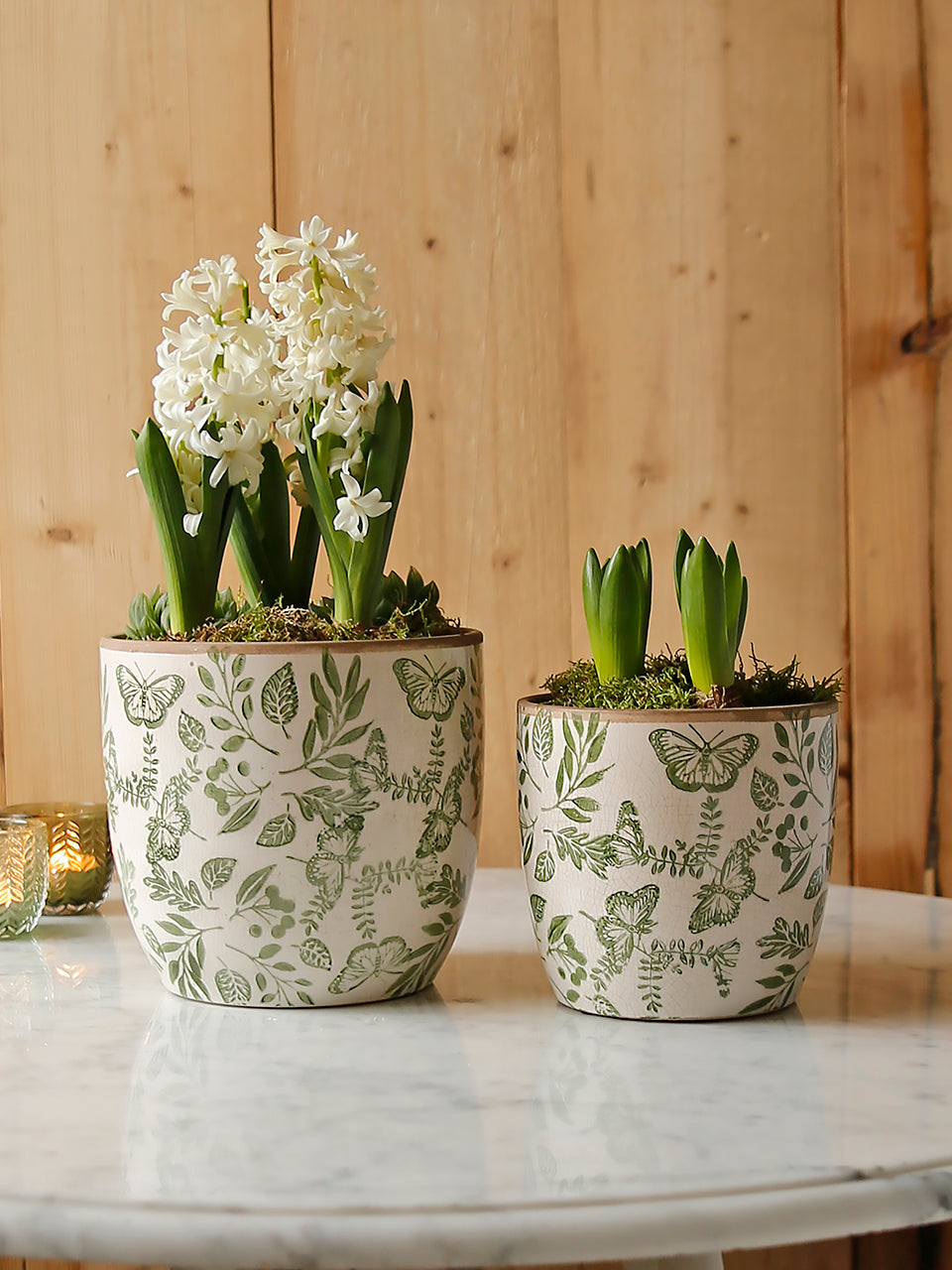 Botanicals and Butterflies Plant Pot – Clem & Co