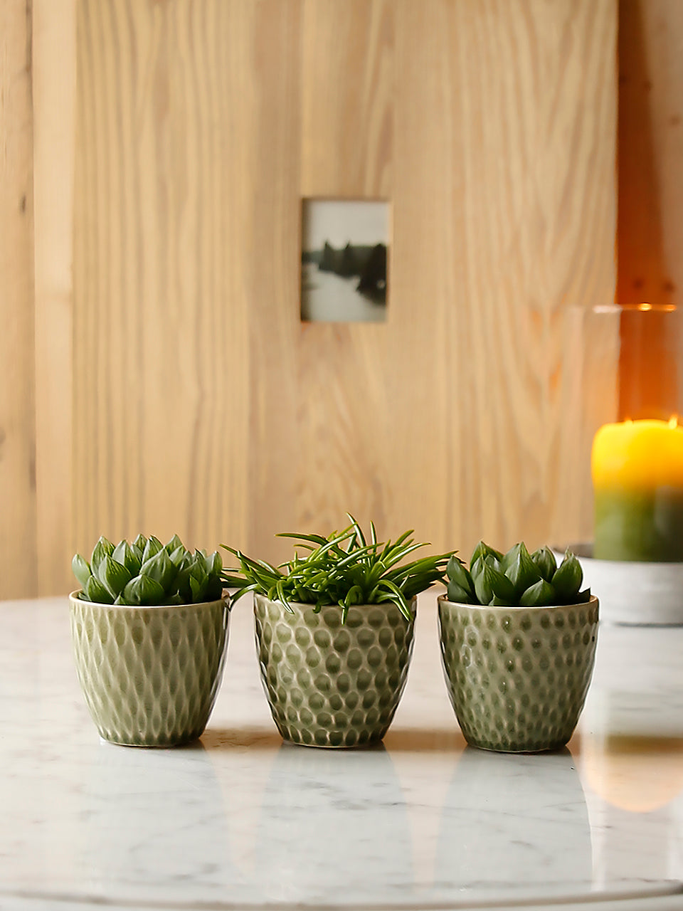 Mini Olive Green Patterned Plant Pot – Clem & Co