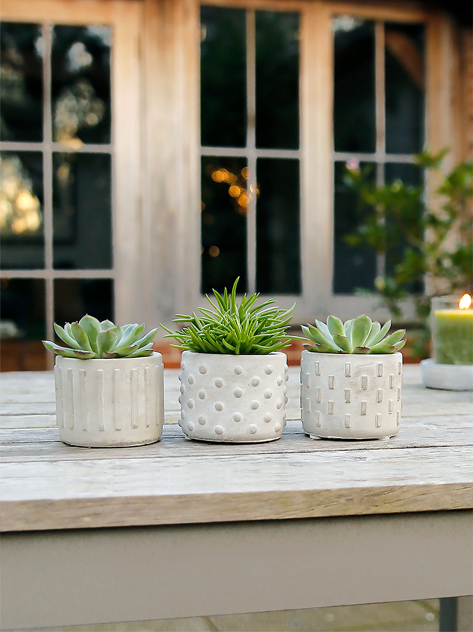 Mini Concrete Plant Pot – Clem & Co