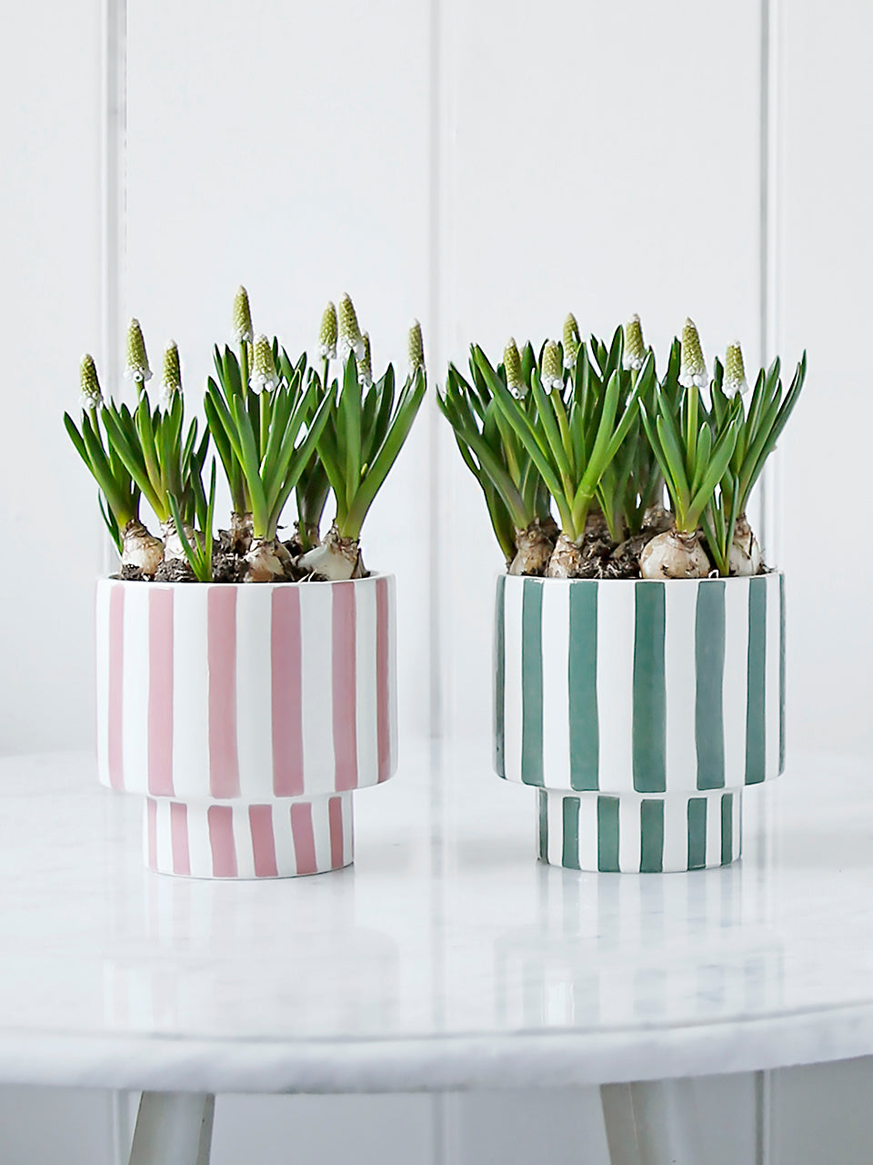Stripe Plant Pot – Clem & Co