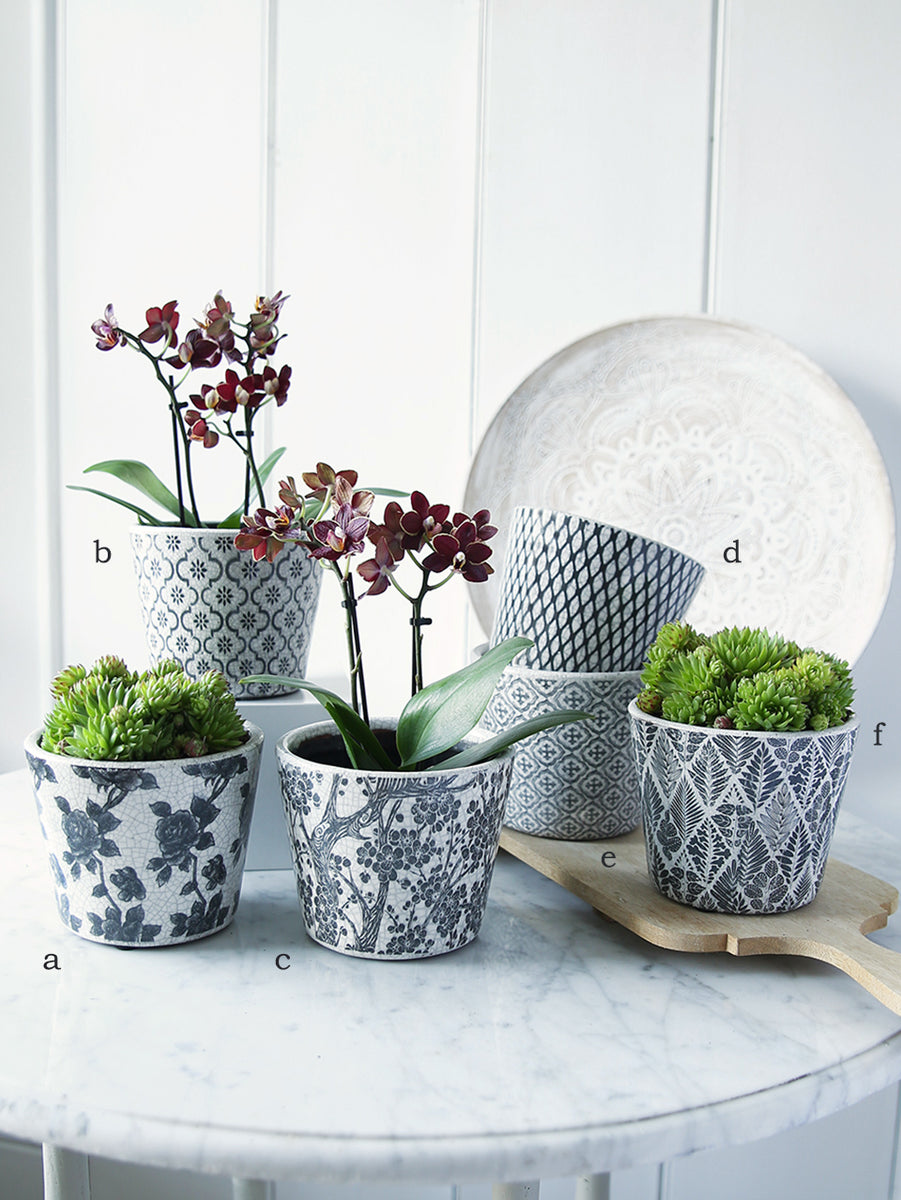 Pots – Clem & Co