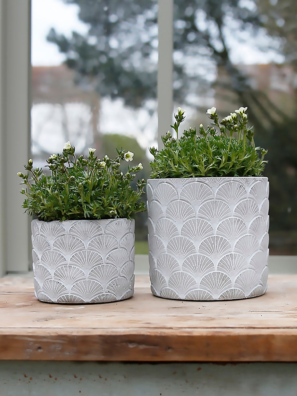 Pots – Clem & Co