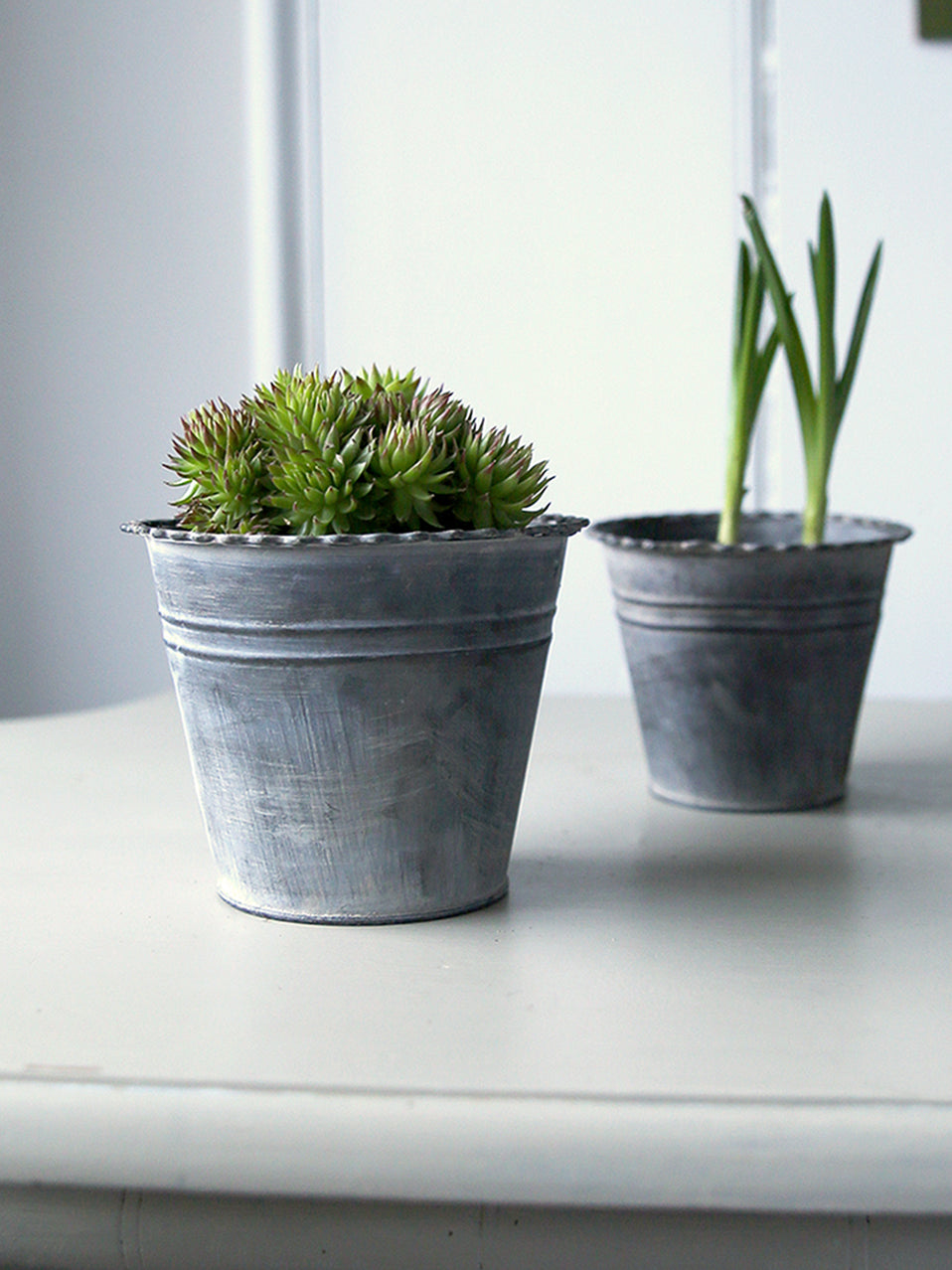 Pots – Clem & Co