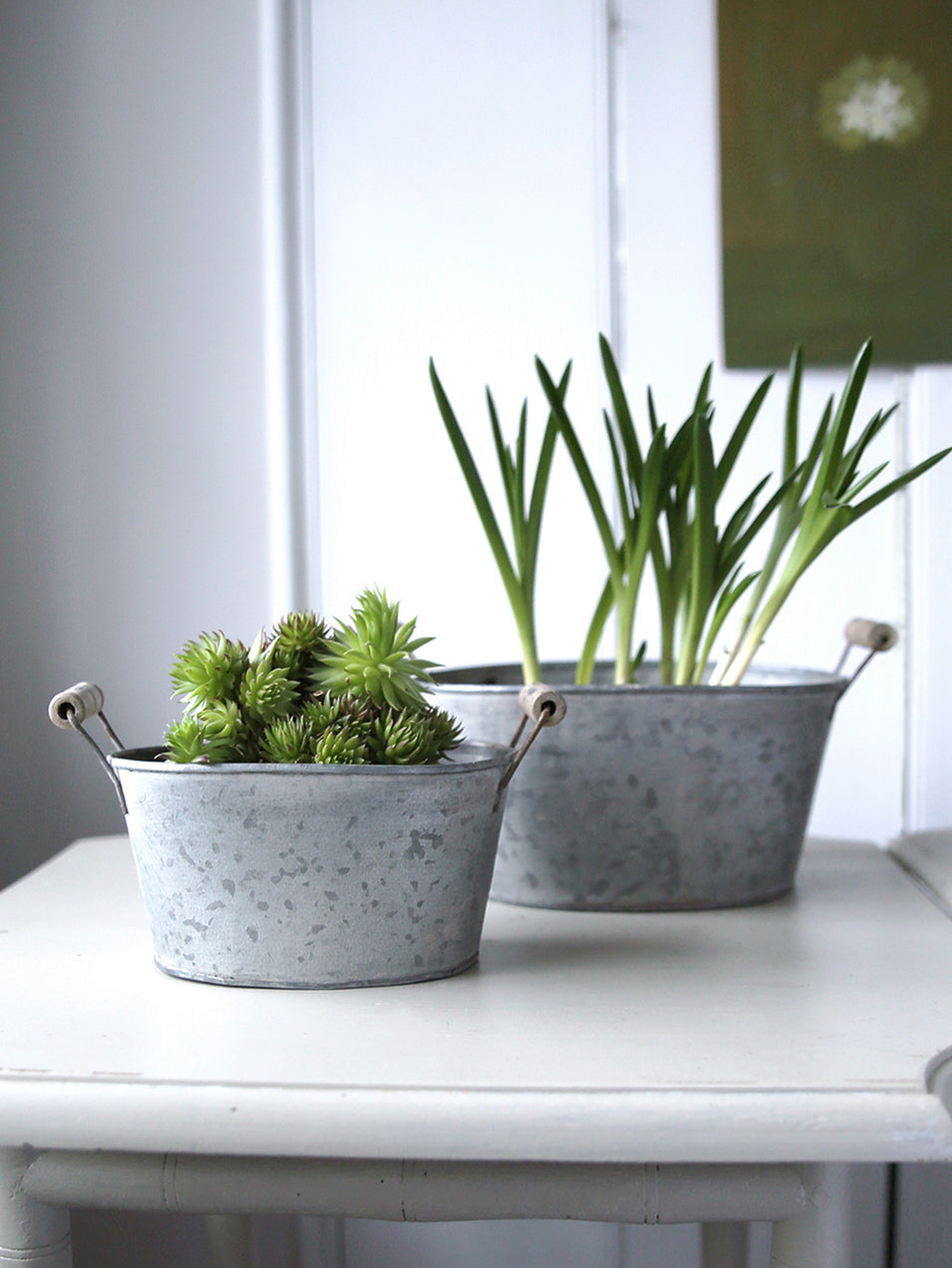 Metal Mini Planter – Clem & Co